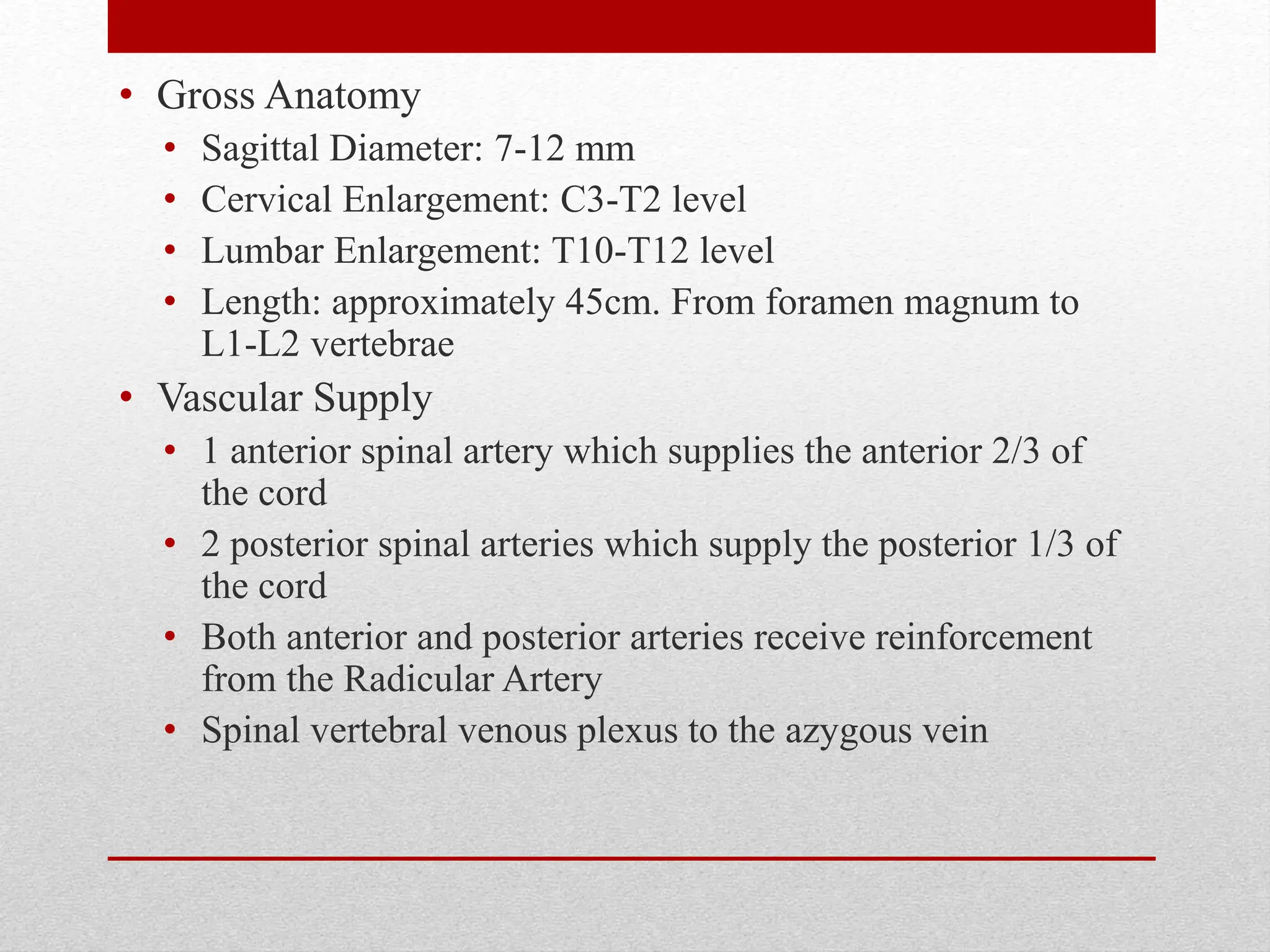 Spinal cord anatomy and injury in human beings | PPTX