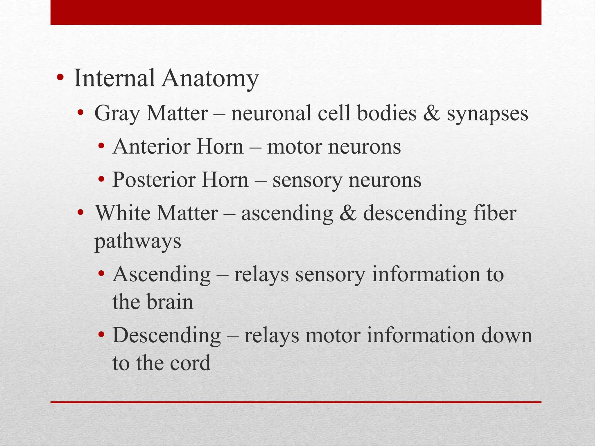 Spinal cord anatomy and injury in human beings | PPTX