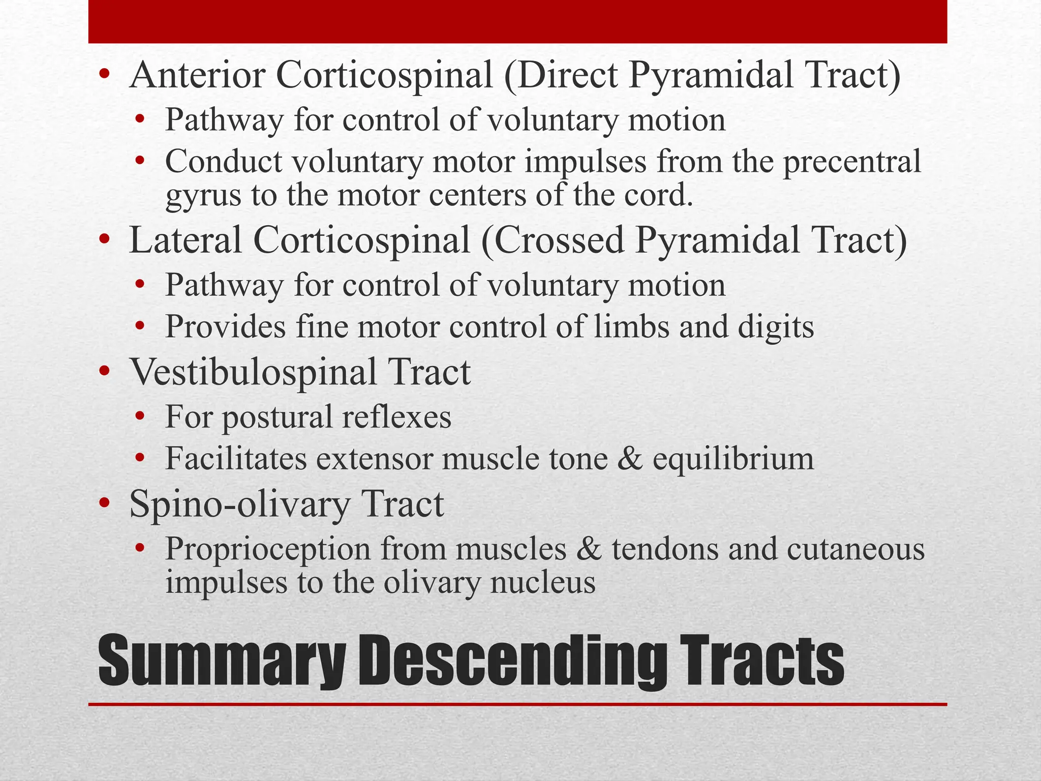 Spinal cord anatomy and injury in human beings | PPTX