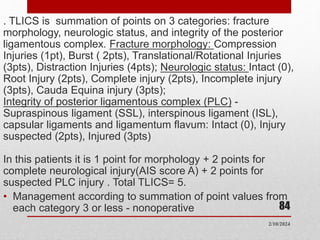 Spinal cord anatomy and injury in human beings | PPTX