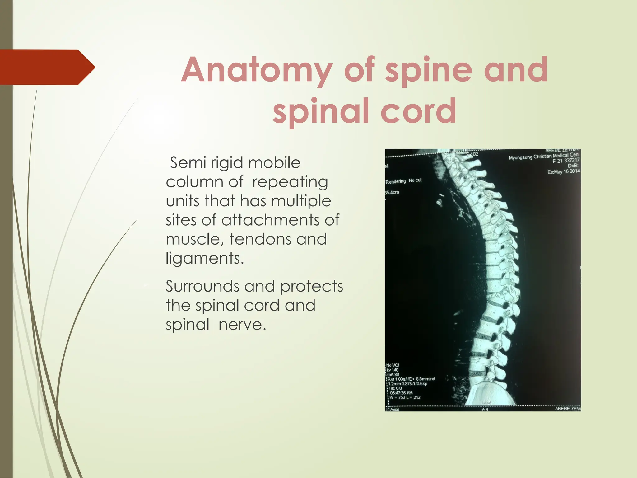 Management of a patient with spine and spinal cord injury | PPTX