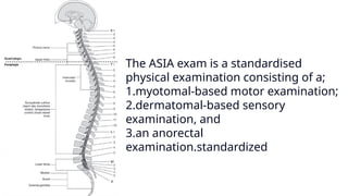 Spinal Cord Injury for frist step ortho.pptx