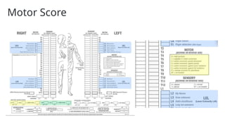 Spinal Cord Injury for frist step ortho.pptx