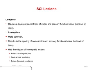 spinal cord injury and their symptoms.pptx