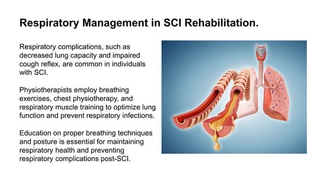 Spinal Cord Injury -physiotherapy And Rehabilitation.pptx