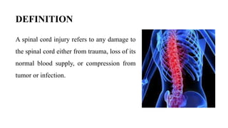 Spinal cord injury_040036.pptx