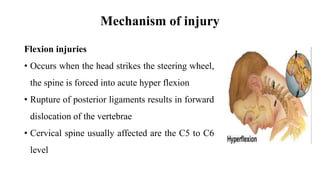 Spinal cord injury_040036.pptx