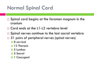 Spinal Cord Injury: Types, Diagnosis, and Treatment (NPT) Lecture 8 | PDF
