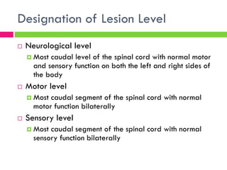 Spinal Cord Injury: Types, Diagnosis, and Treatment (NPT) Lecture 8 | PDF