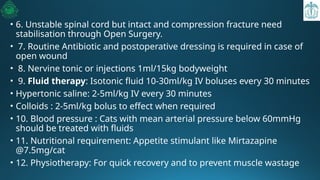 spinal cord injury and paraplegia in cats.pptx