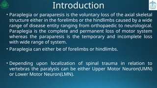 spinal cord injury and paraplegia in cats.pptx