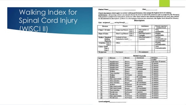 Spinal cord injury assessment