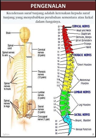 Spinal cord injury booklet (bm) | PPTX