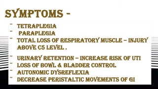 Krishna mittal SCI | PPTX