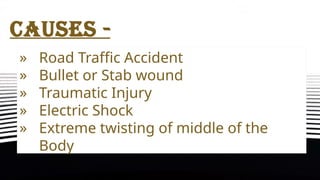 Krishna mittal SCI | PPTX