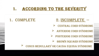 Krishna mittal SCI | PPTX