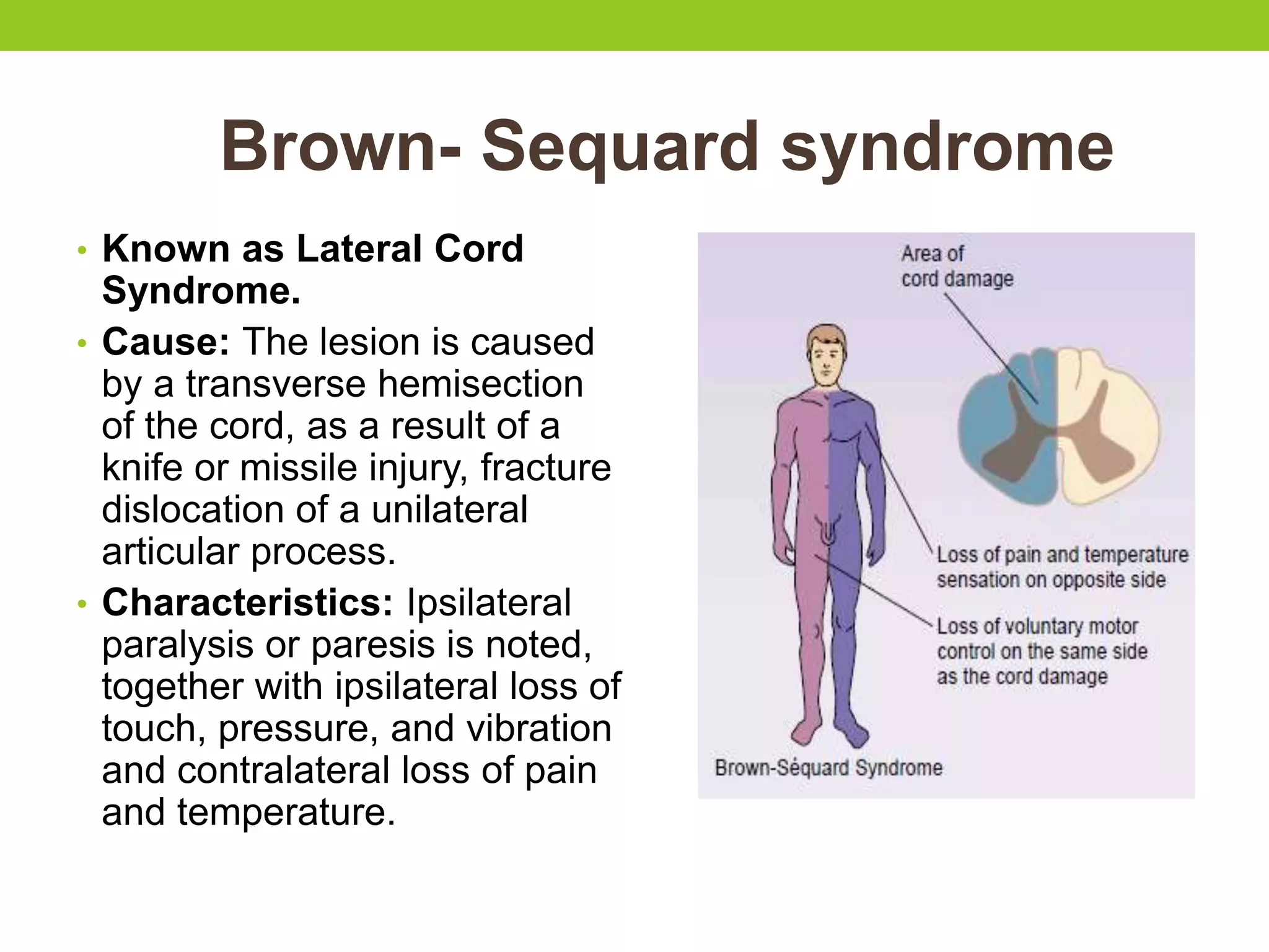 Spinal cord injury (SCI) | PPTX
