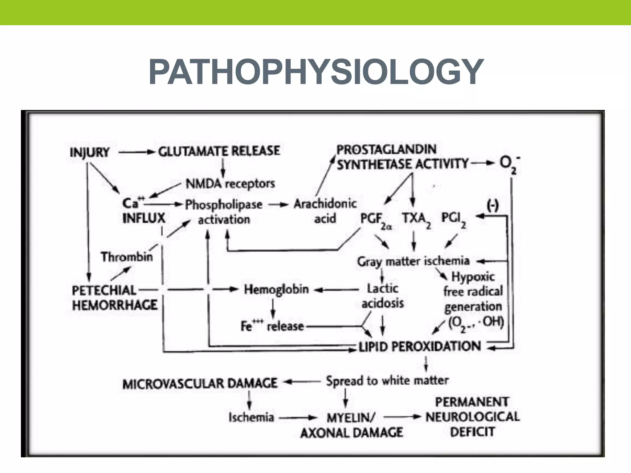 Spinal cord injury (SCI) | PPTX
