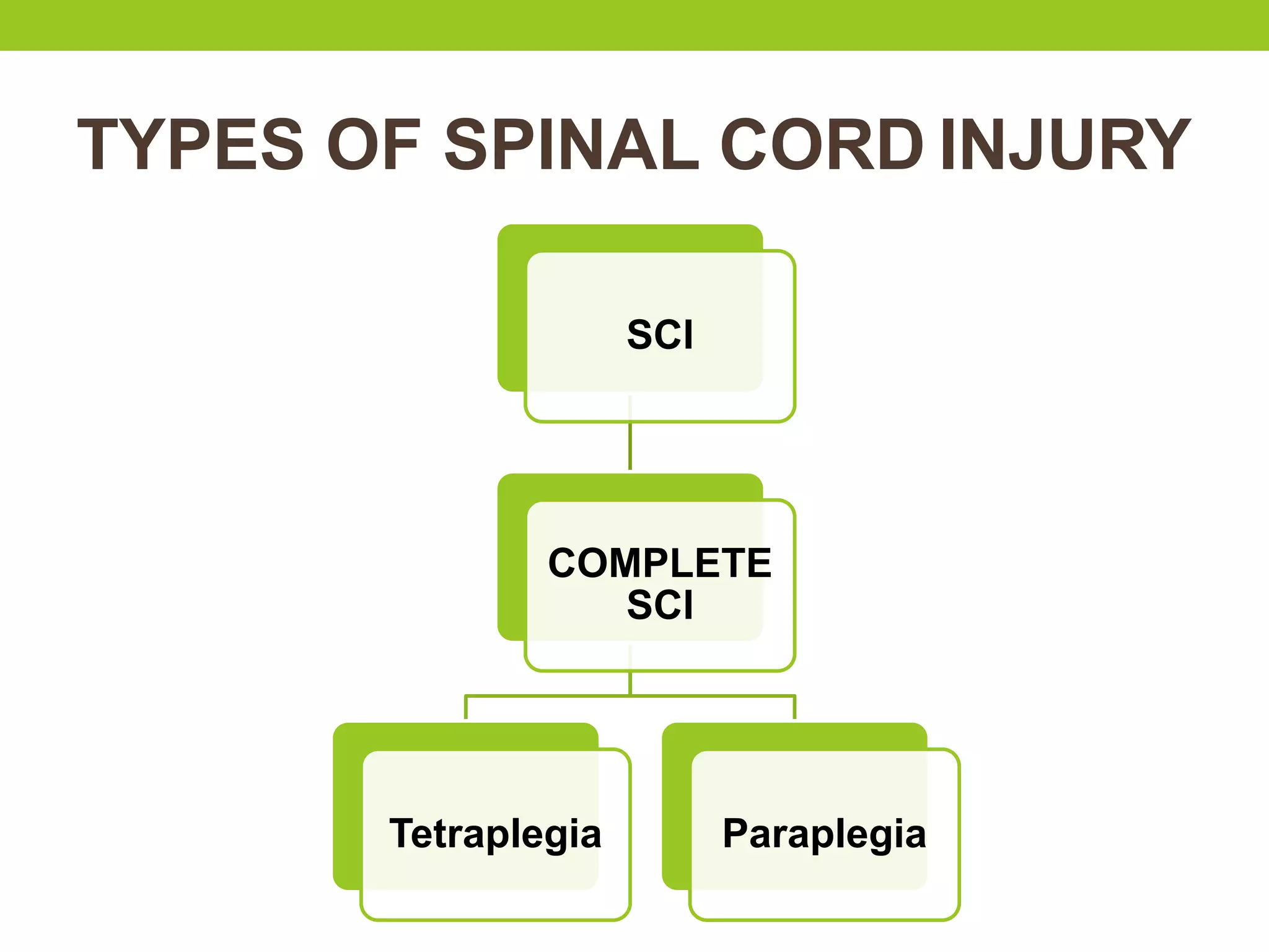Spinal cord injury (SCI) | PPTX