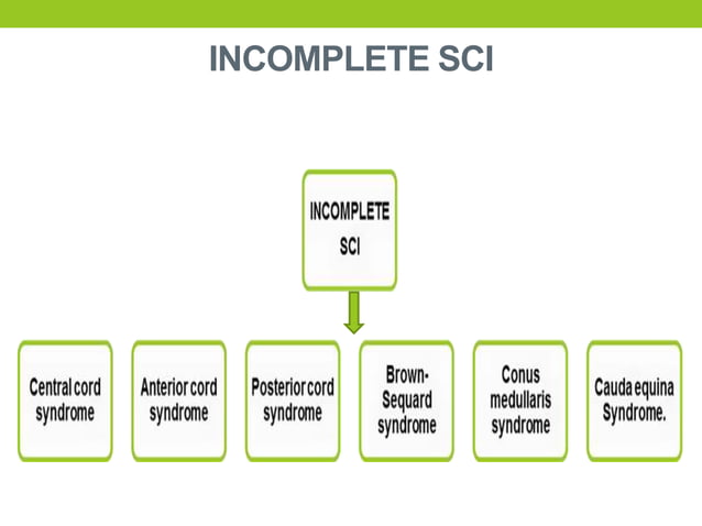 Spinal cord injury (SCI) | PPTX