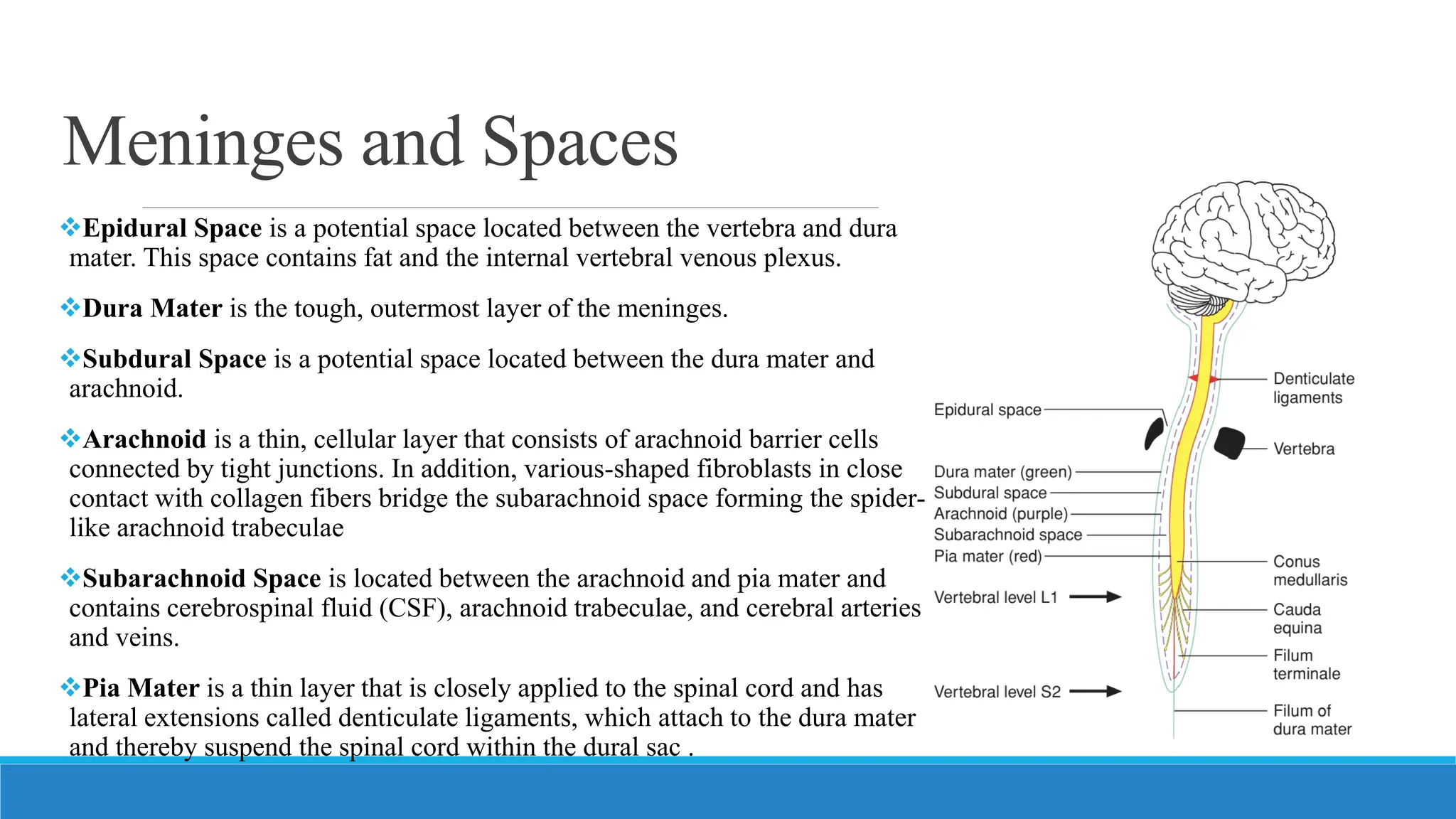 SPINAL CORD INJURY & ITS ORTHOTIC MANAGEMENT | PDF