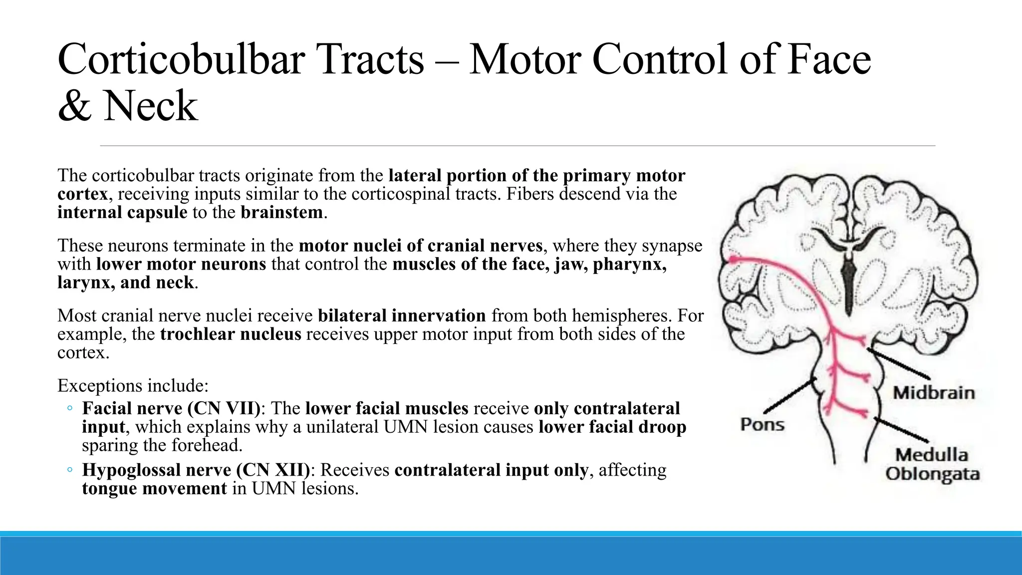 SPINAL CORD INJURY & ITS ORTHOTIC MANAGEMENT | PDF