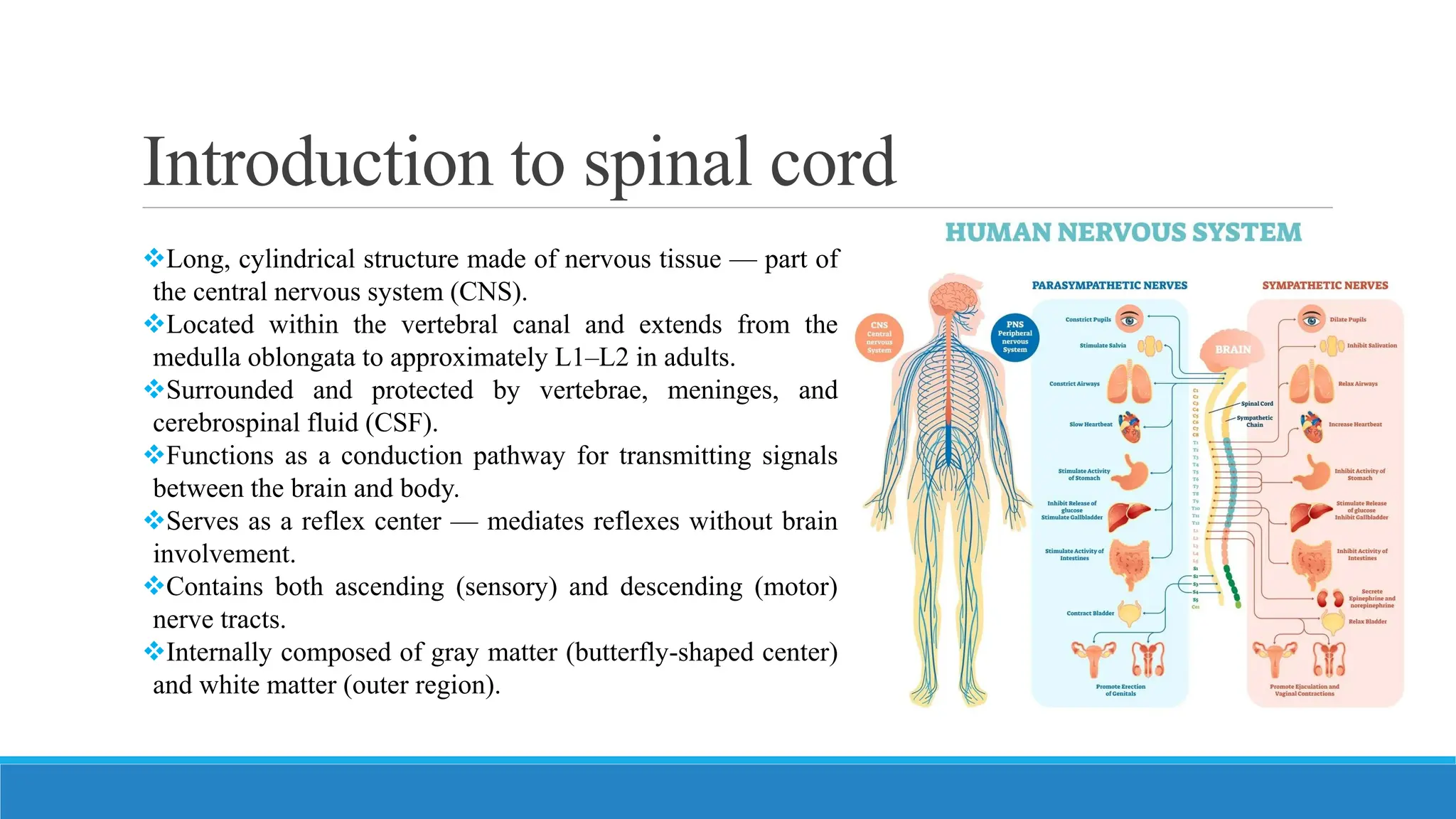 SPINAL CORD INJURY & ITS ORTHOTIC MANAGEMENT | PDF