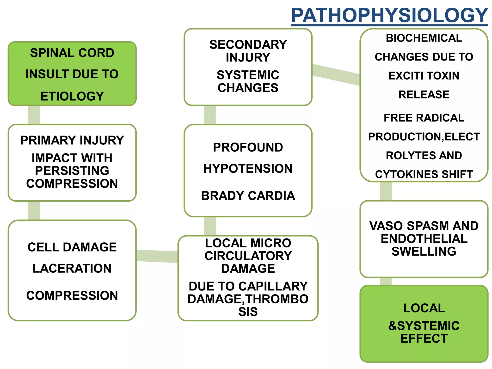 Spinal Cord Injuries | PPTX