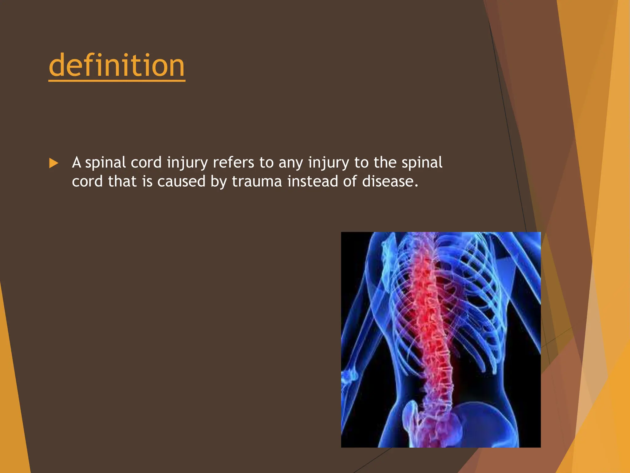 spinal cord injury by dr.bharti pawar ppt | PPTX