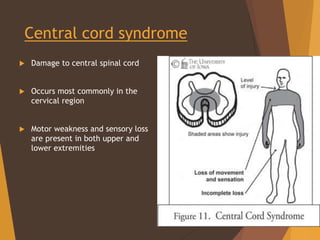 spinal cord injury by dr.bharti pawar ppt | PPTX