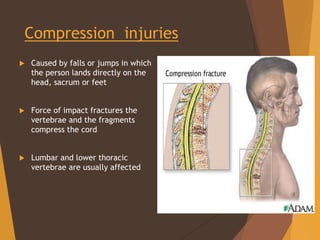 spinal cord injury by dr.bharti pawar ppt | PPTX