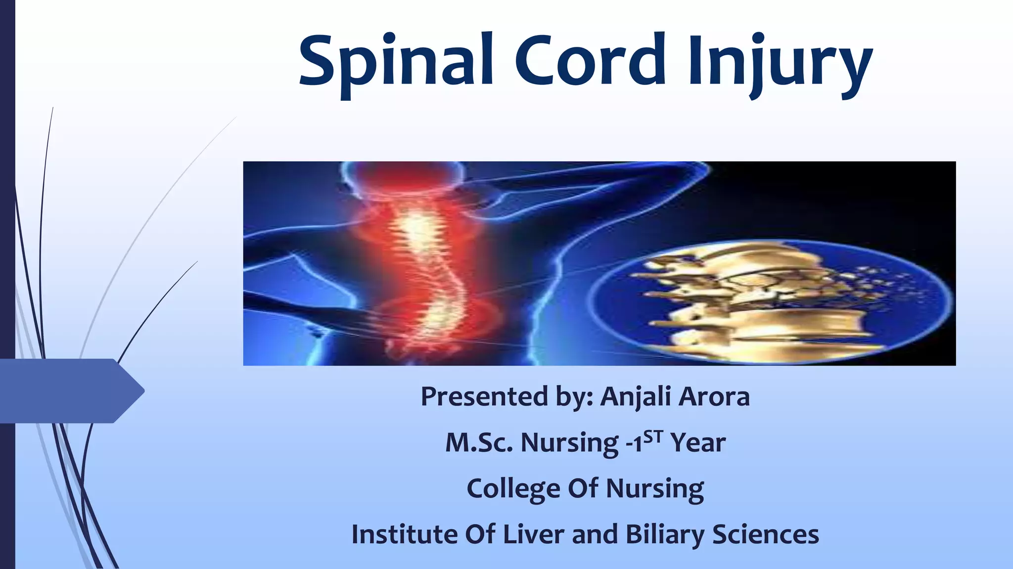 Spinal Cord Injury Recovered Pptx