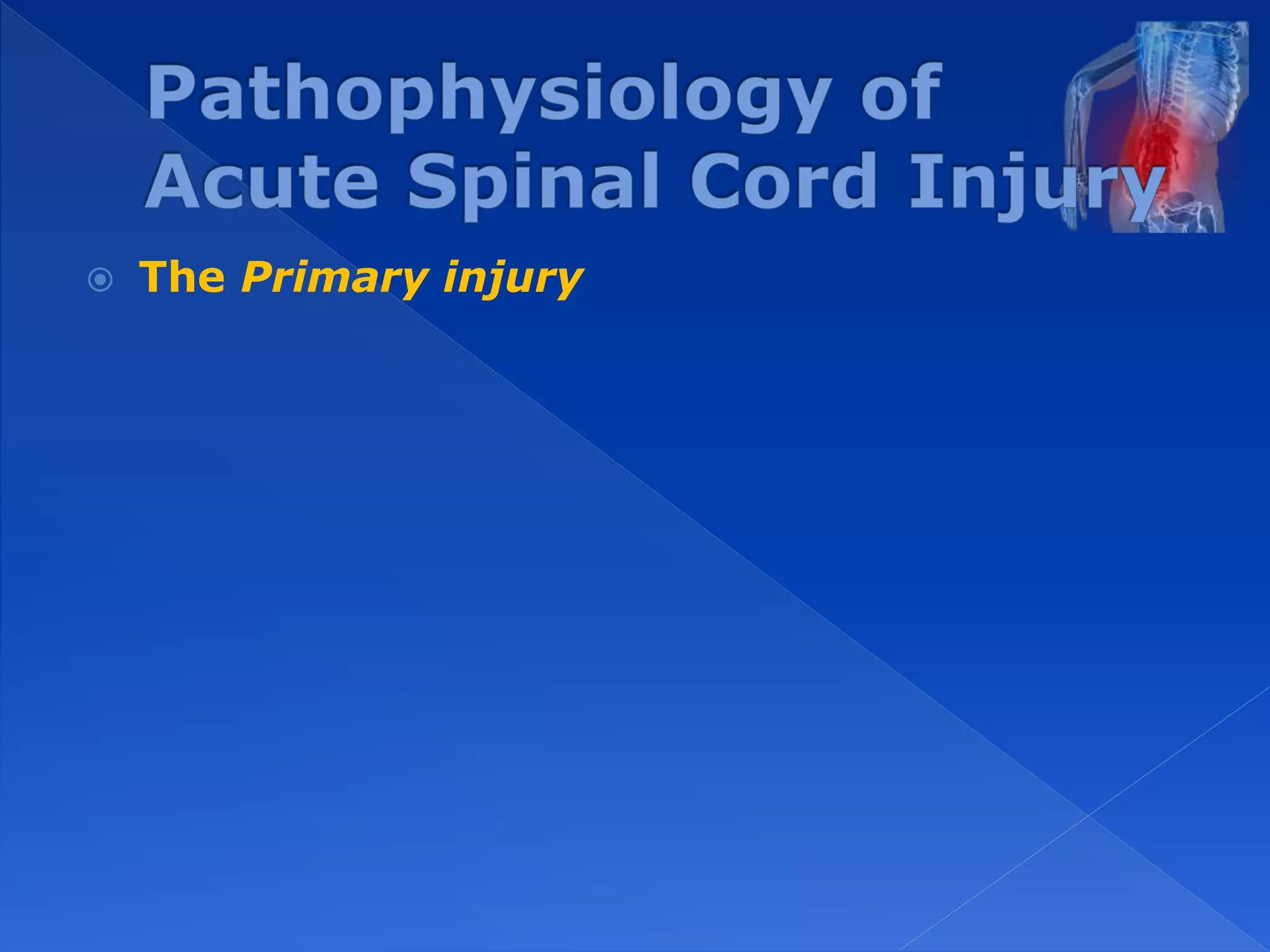 Spinal cord injury rehabilitation | PPTX