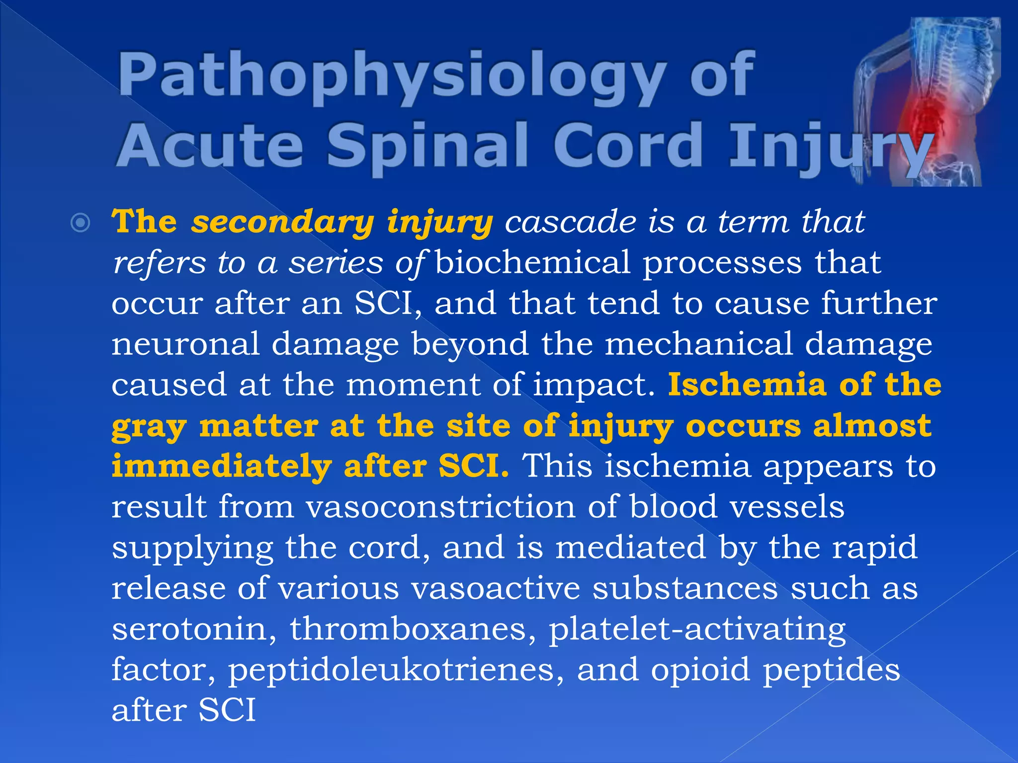 Spinal cord injury rehabilitation | PPTX