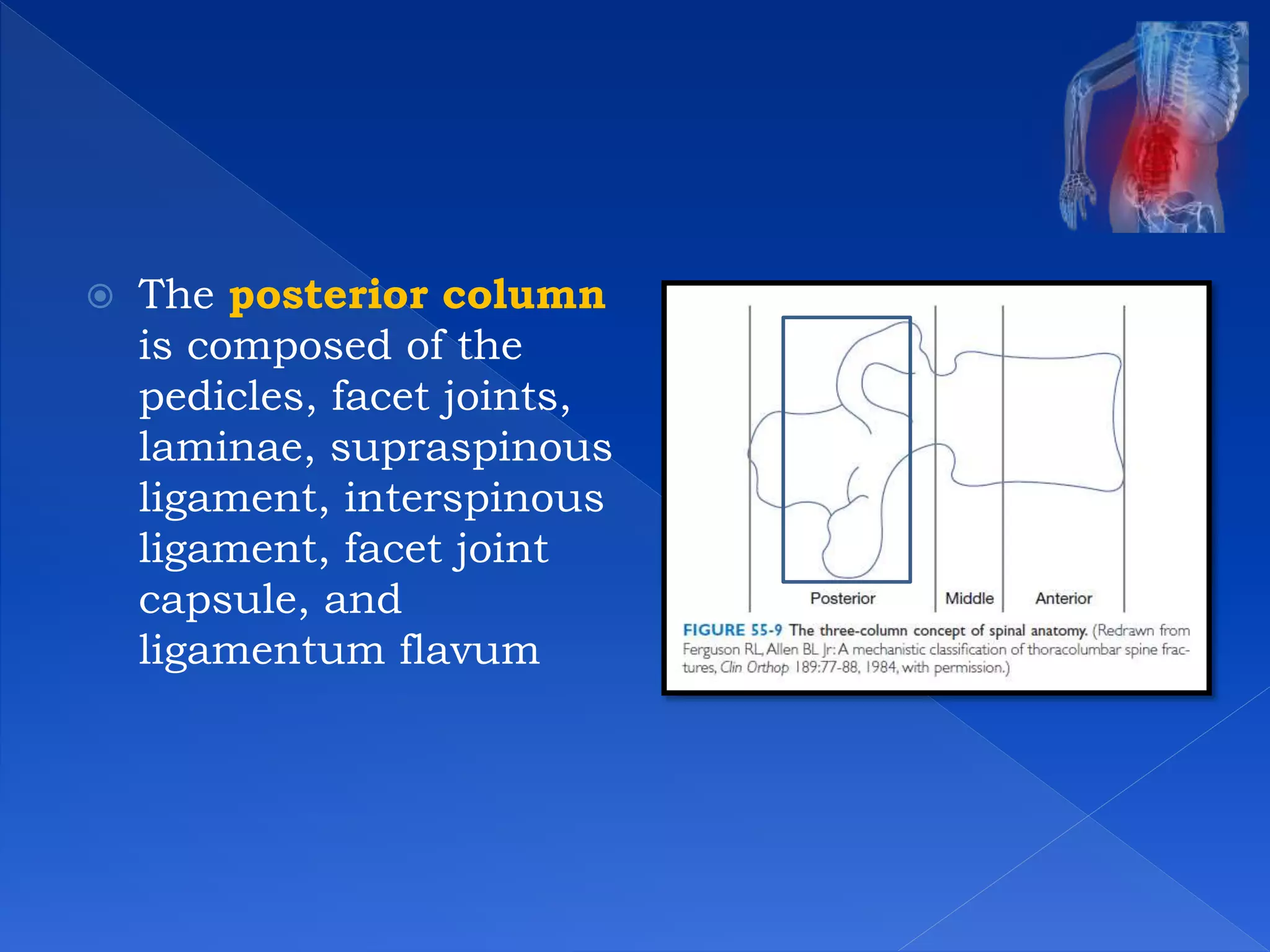 Spinal cord injury rehabilitation | PPTX
