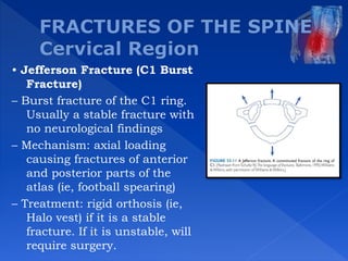 Spinal cord injury rehabilitation | PPTX