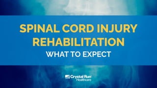Spinal Cord Injury Rehabilitation: What to Expect | PDF