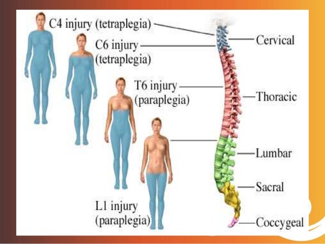 Spinal Cord Injury (SCI)