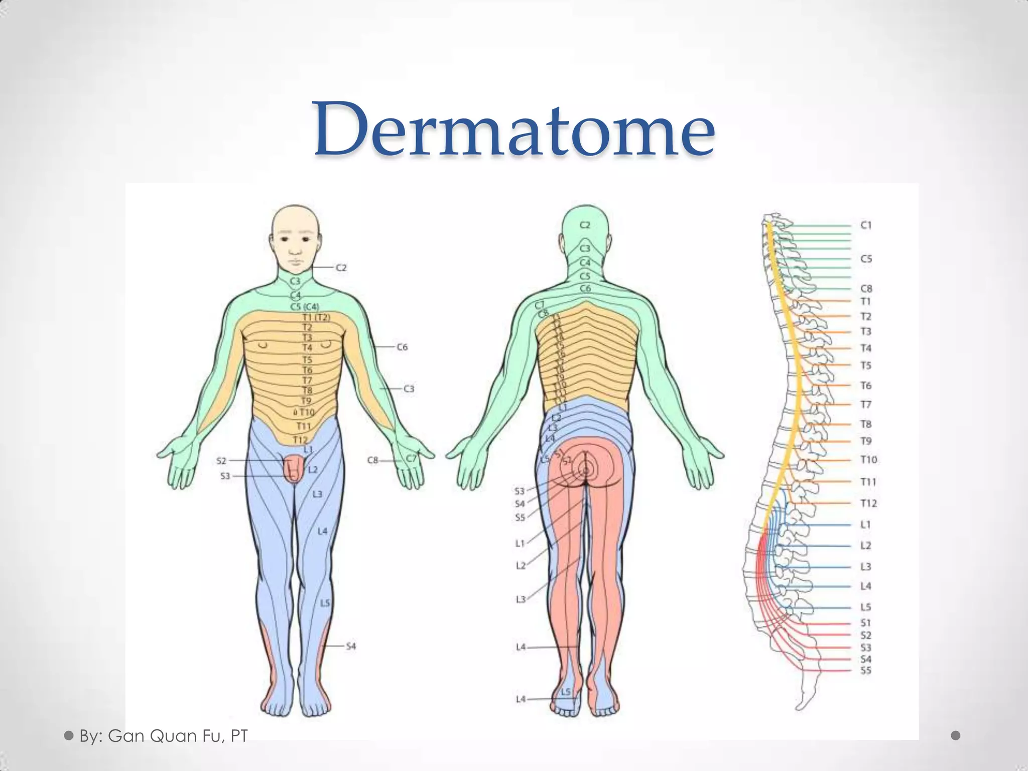 Spinal cord injury (sci) Rehab | PPTX