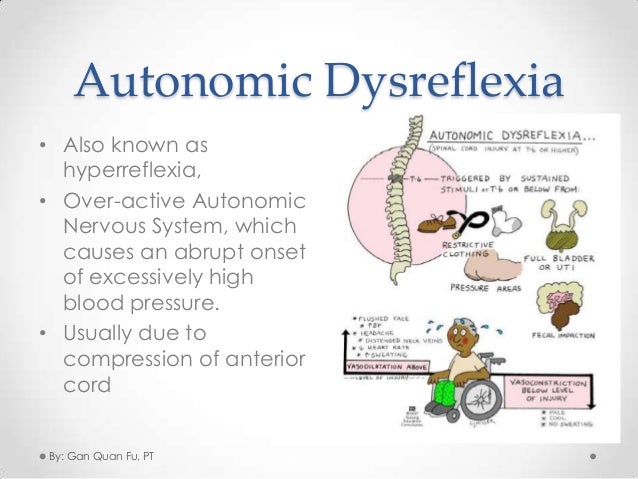 Spinal cord injury (sci) Rehab