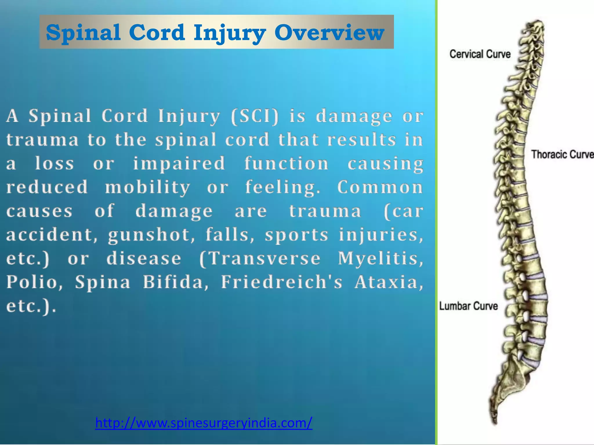 Spinal cord injury & treatment | PPTX