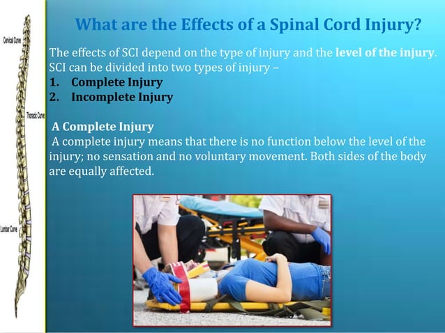 Spinal cord injury & treatment | PPTX