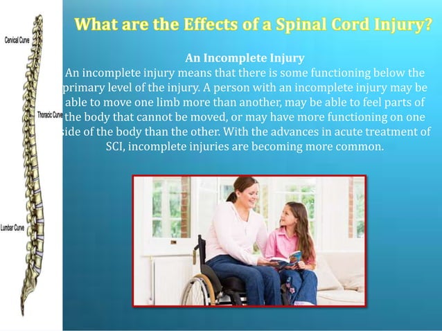 Spinal cord injury & treatment | PPTX