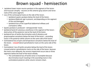 Spinal cord lesion.pptx