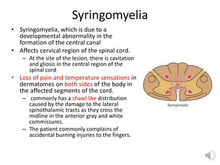 Spinal cord lesion.pptx