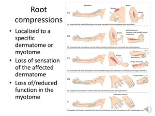 Spinal cord lesion.pptx