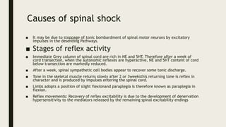 spinal cord and its lesion. Central nervous system | PPTX