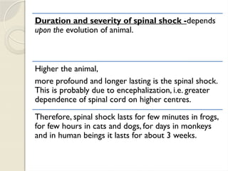 Spinal cord lesions(central nervous system) | PPTX