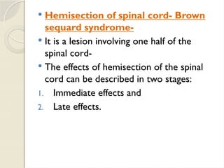 Spinal cord lesions(central nervous system) | PPTX