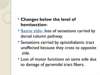 Spinal cord lesions(central nervous system) | PPTX